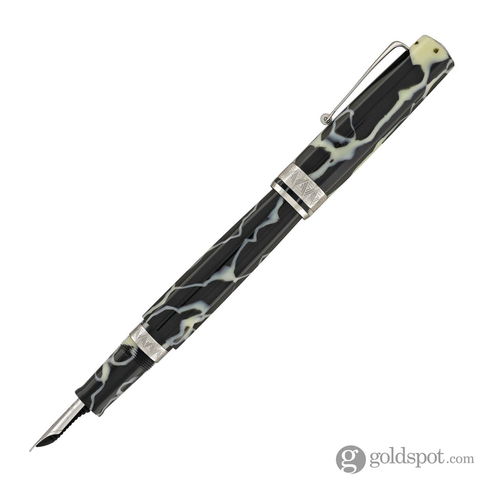 Omas Paragon Fountain Pen in Wild with Silver Trim - Goldspot Pens