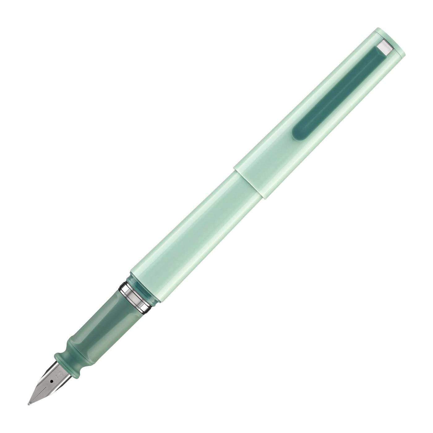 Sailor Compass Tuzu Fountain Pen in Green - Goldspot Pens
