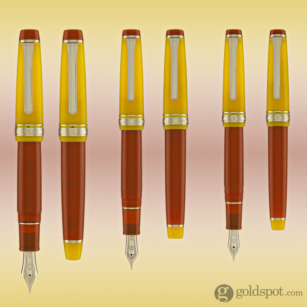 Sailor Pro Gear Regular Fountain Pen in Moonlight Over the Ocean - 21k ...