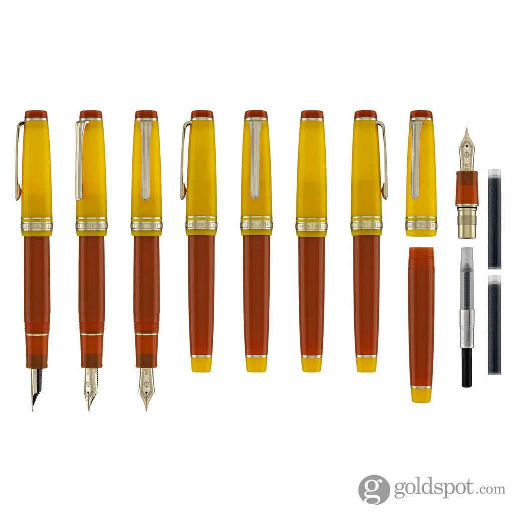 Sailor Pro Gear Regular Fountain Pen in Moonlight Over the Ocean - 21k ...