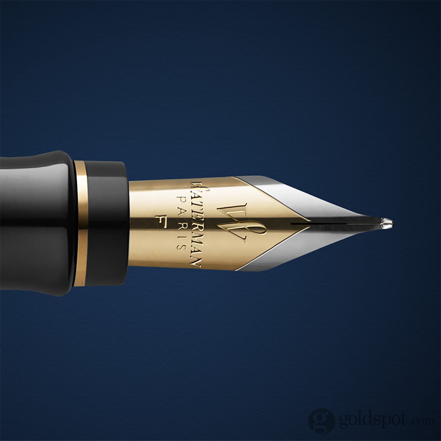 Waterman Expert Fountain Pen in Opera with Gold Trim - Medium Point ...