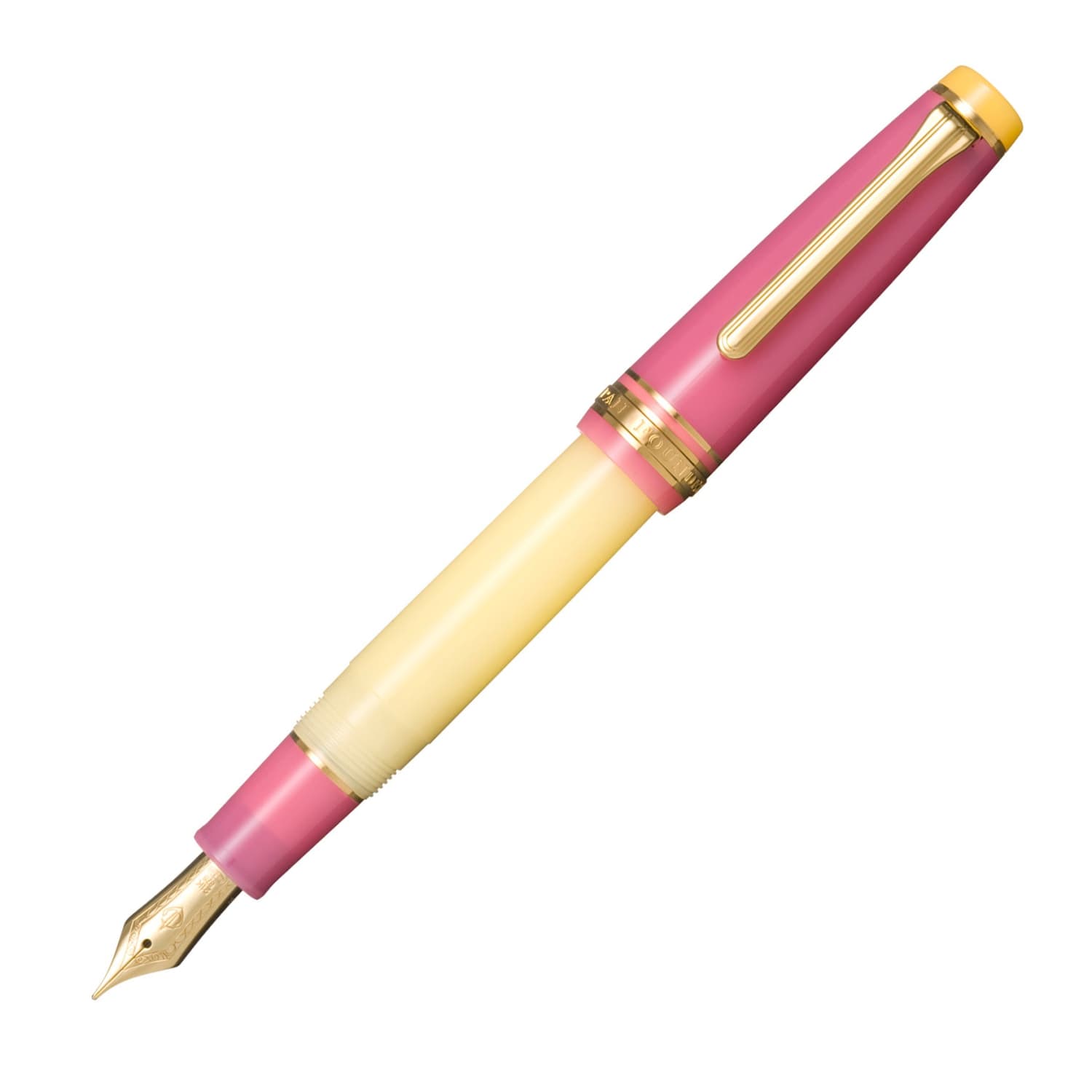 Sailor Pro Gear Regular - Goldspot Pens